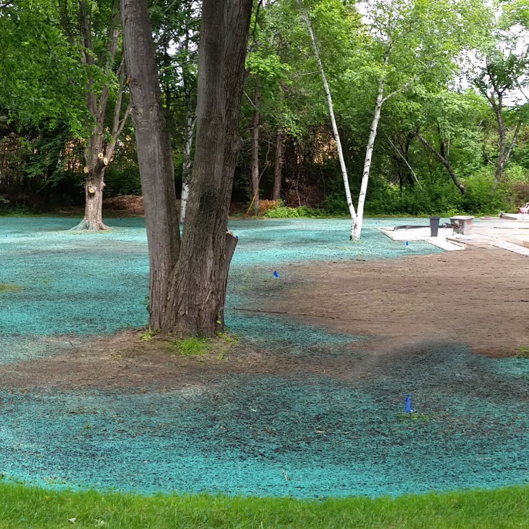 Lawn Care Grey Bruce | 5 Step Lawn Program